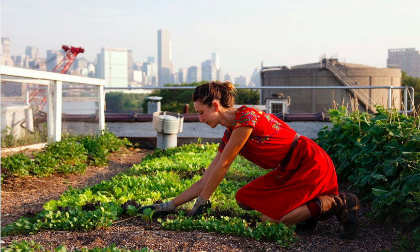 Annie Novak's Morning Routine - The Newsette